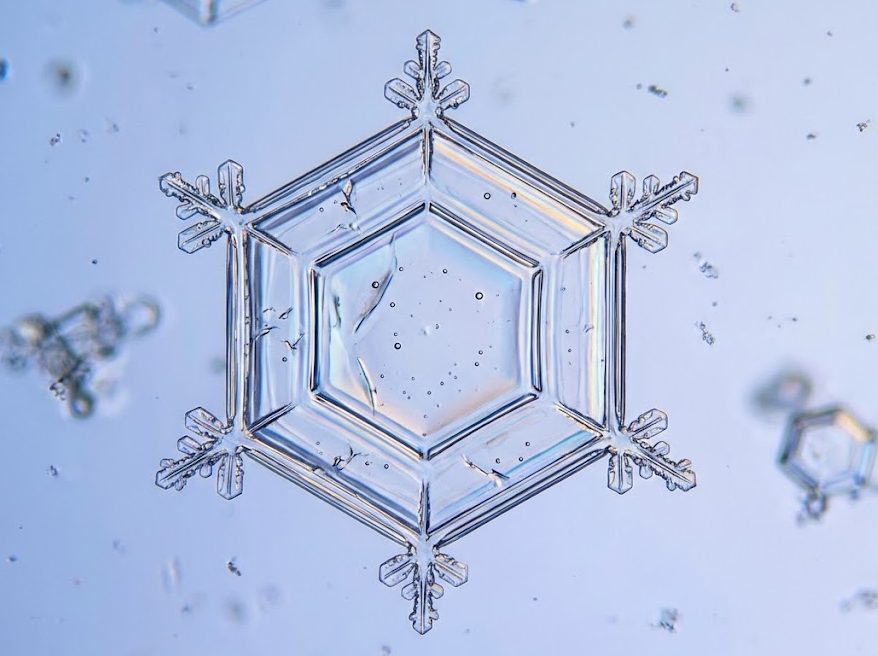 11 Facts About the Science of Snowflakes: Why No Two Are Ever the Same